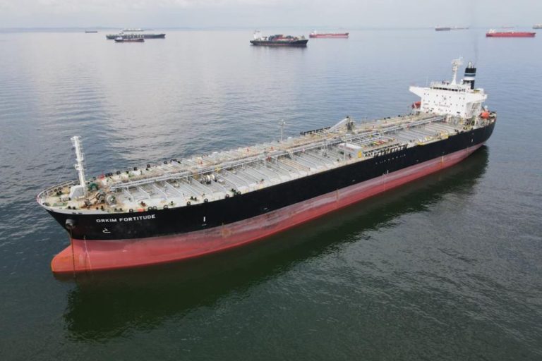 Our Fleets – ORKIM GROUP