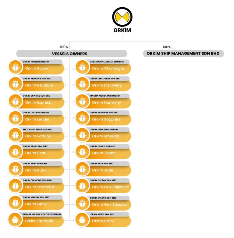 Group Structure – ORKIM GROUP